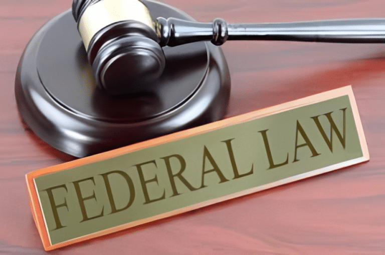 What Does Federal Law Say About Departmental Accountable Officials - OF ...